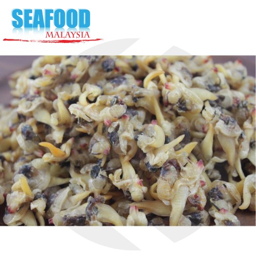 Lala Cook's Instagram, Twitter & Facebook on IDCrawl